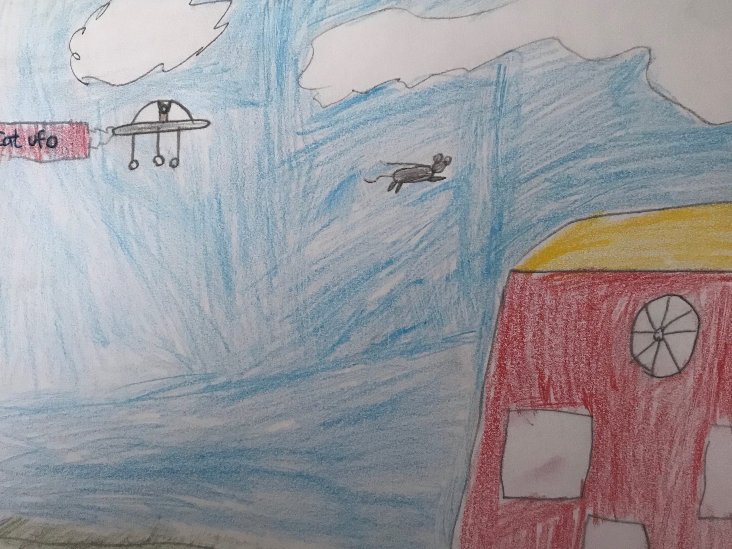 Launching my new children’s book Home, during COVID-19 and connecting ...